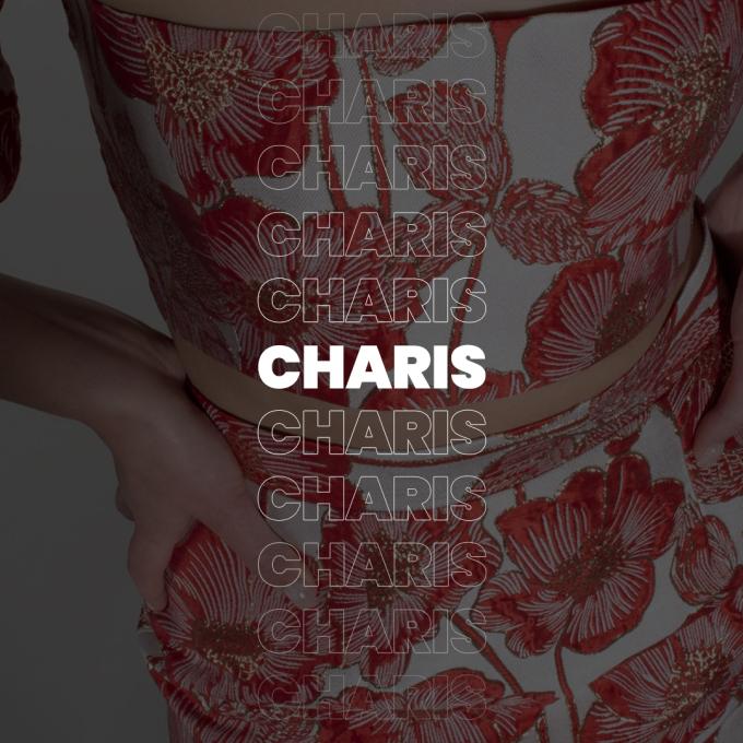 CHÁRIS Studio Web Development 2024 | Opium Works